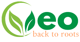 Mestro Web Solution - Best IT service and web development.